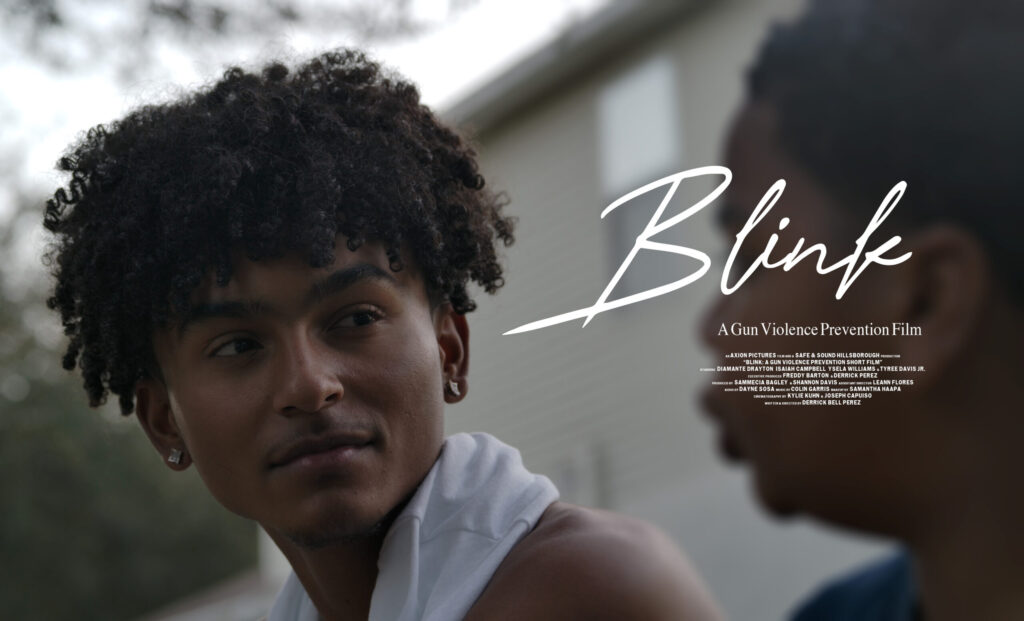 Blink - Safe and Sound Hillsborough